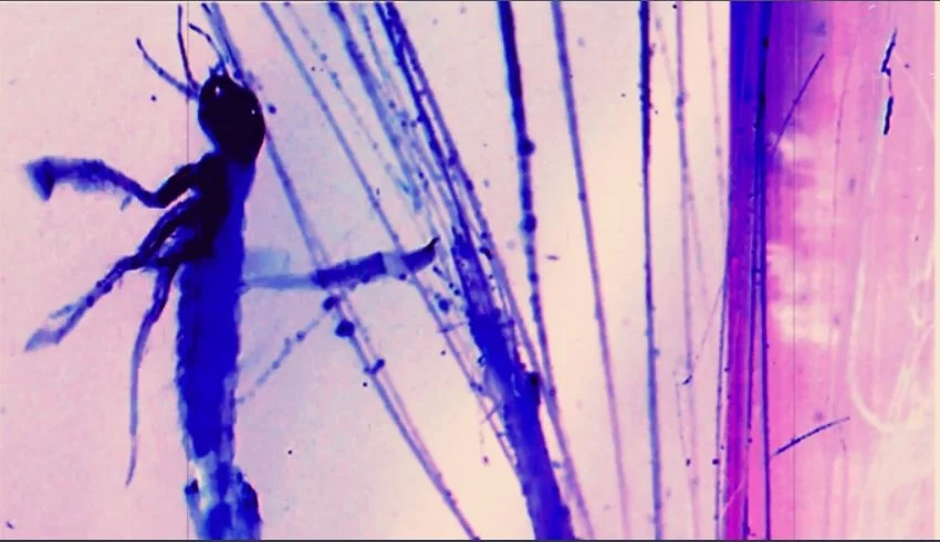 Previous Exhibitions — dr. amy cutler // geoHumanities & new Storytelling