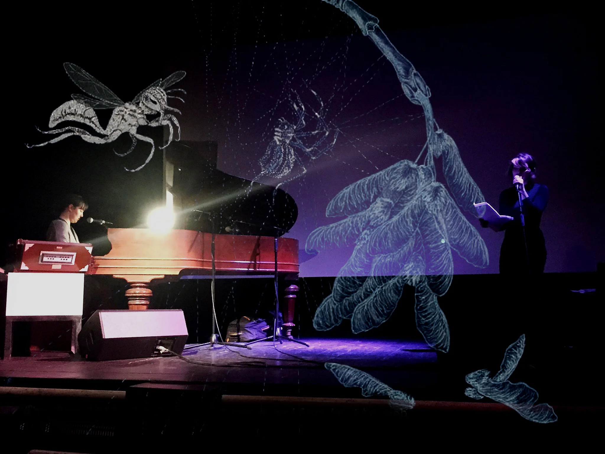 Music Releases/Radio — dr. amy cutler // geoHumanities