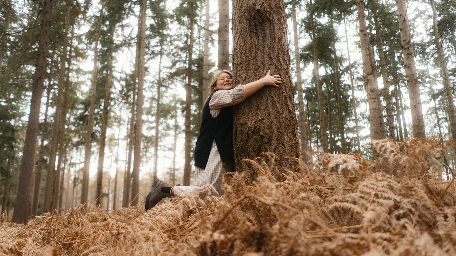 Jo Rance - Contemporary British Painter