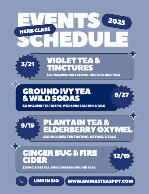 Ground Ivy Tea and Wild Sodas — Emma's Tea Spot