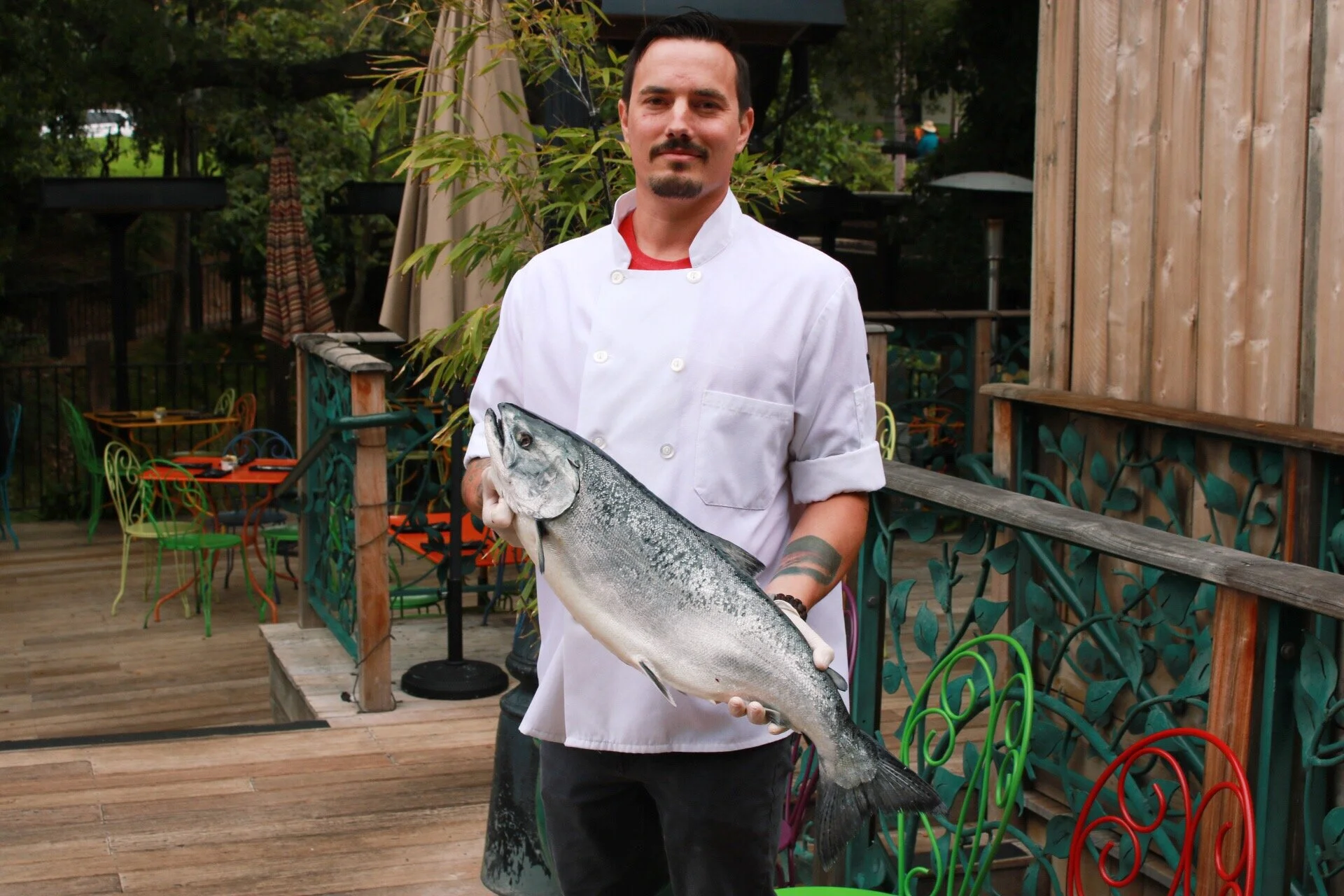 Pickup & Delivery Only at Novo — Novo Restaurant & Lounge