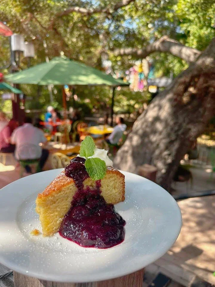 Dinner — Novo Restaurant & Lounge