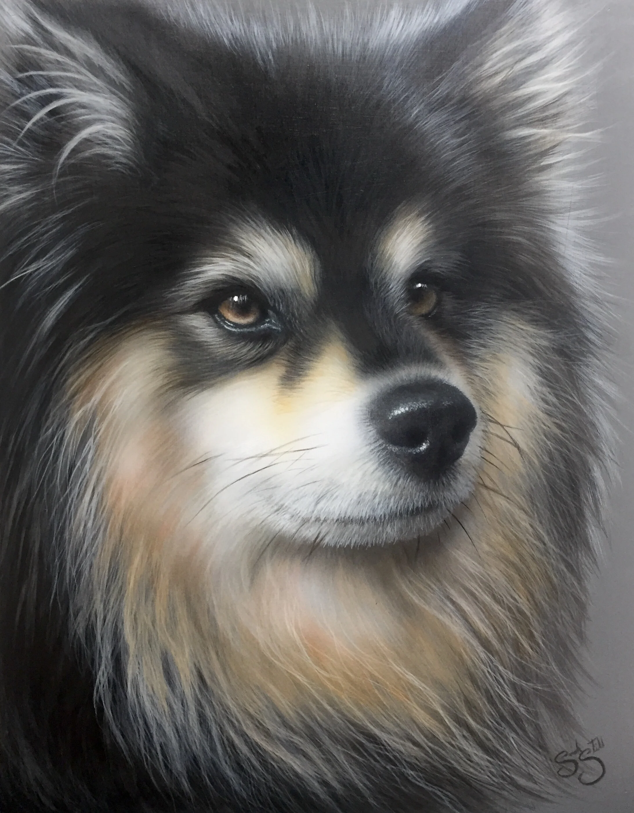 Animals — Sarah Still