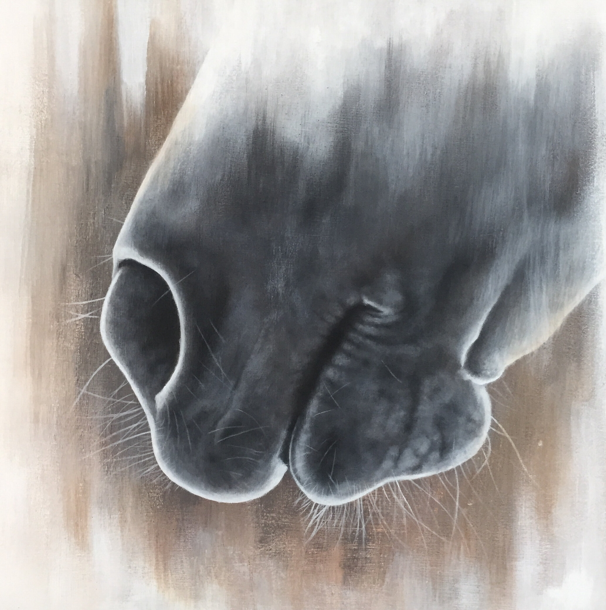 Animals — Sarah Still