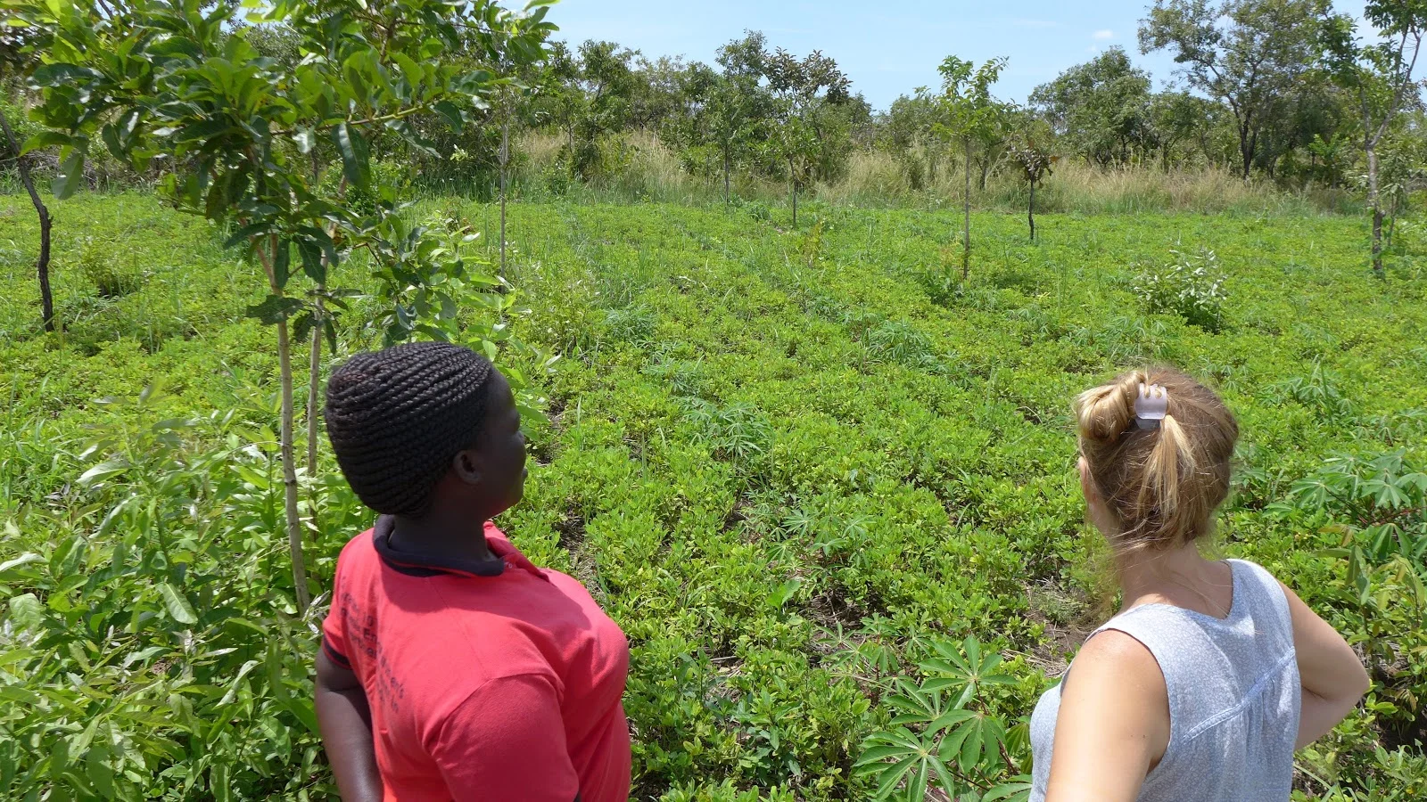 A Space for Every Seed – the Power of Polycultures — Camino Verde