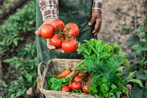 Cleveland’s #1 Produce Distributor (Copy) — The Sanson Company