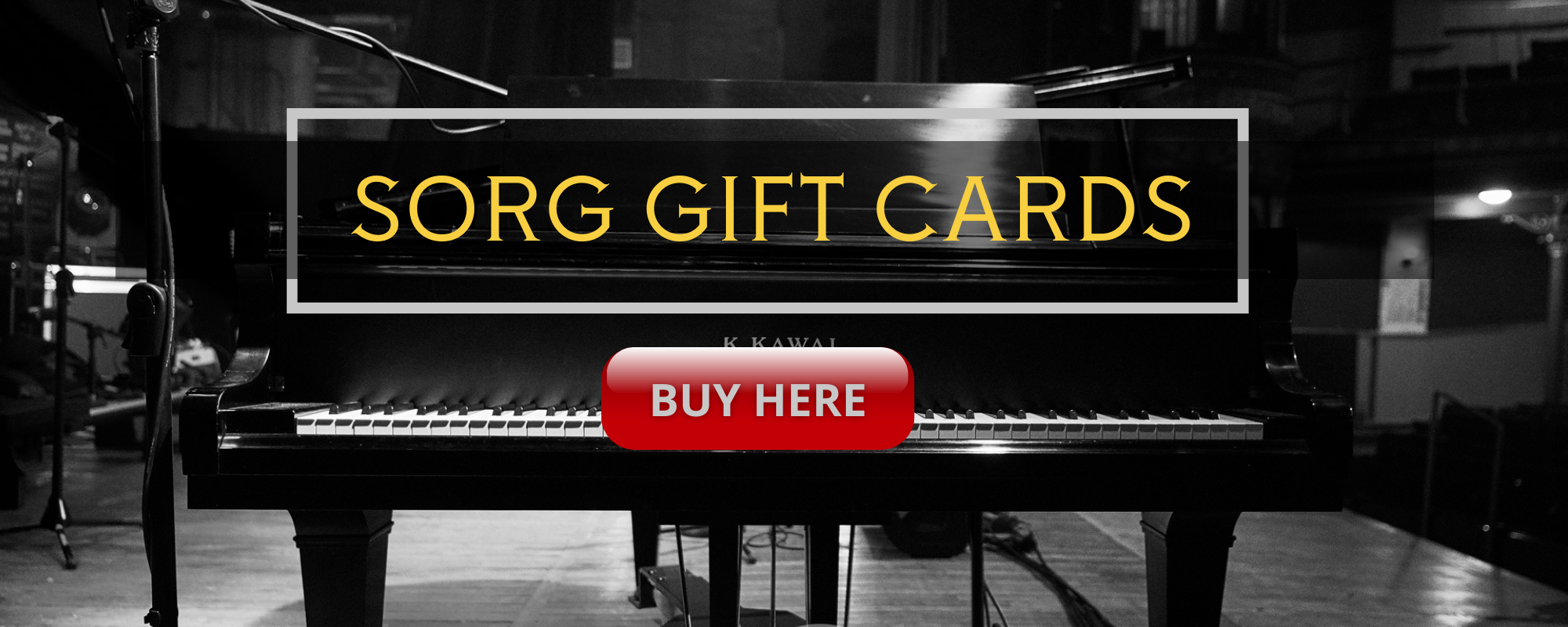 Sorg Opera Revitalization Group