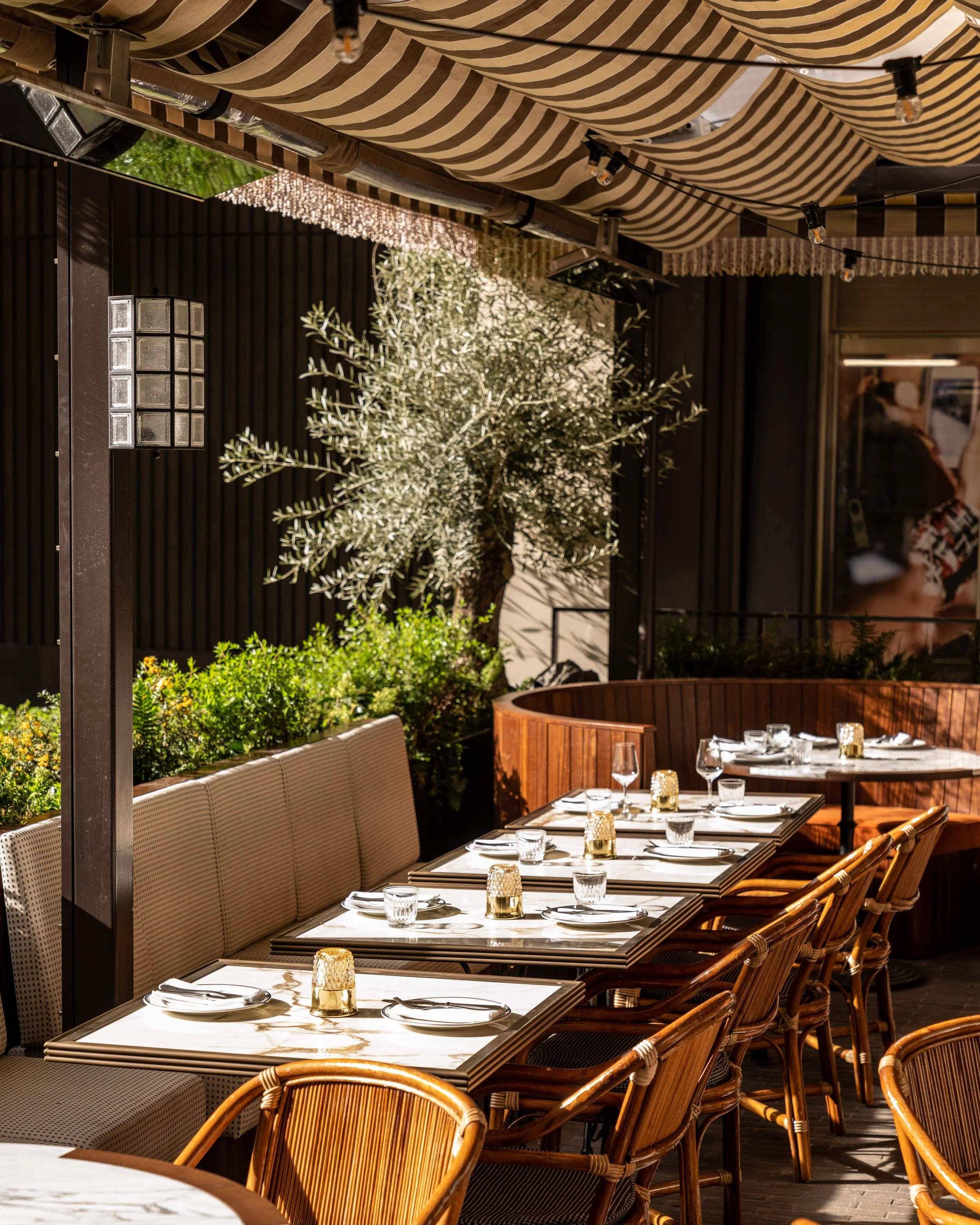 Review: The MAINE Mayfair — The Mayfair Musings
