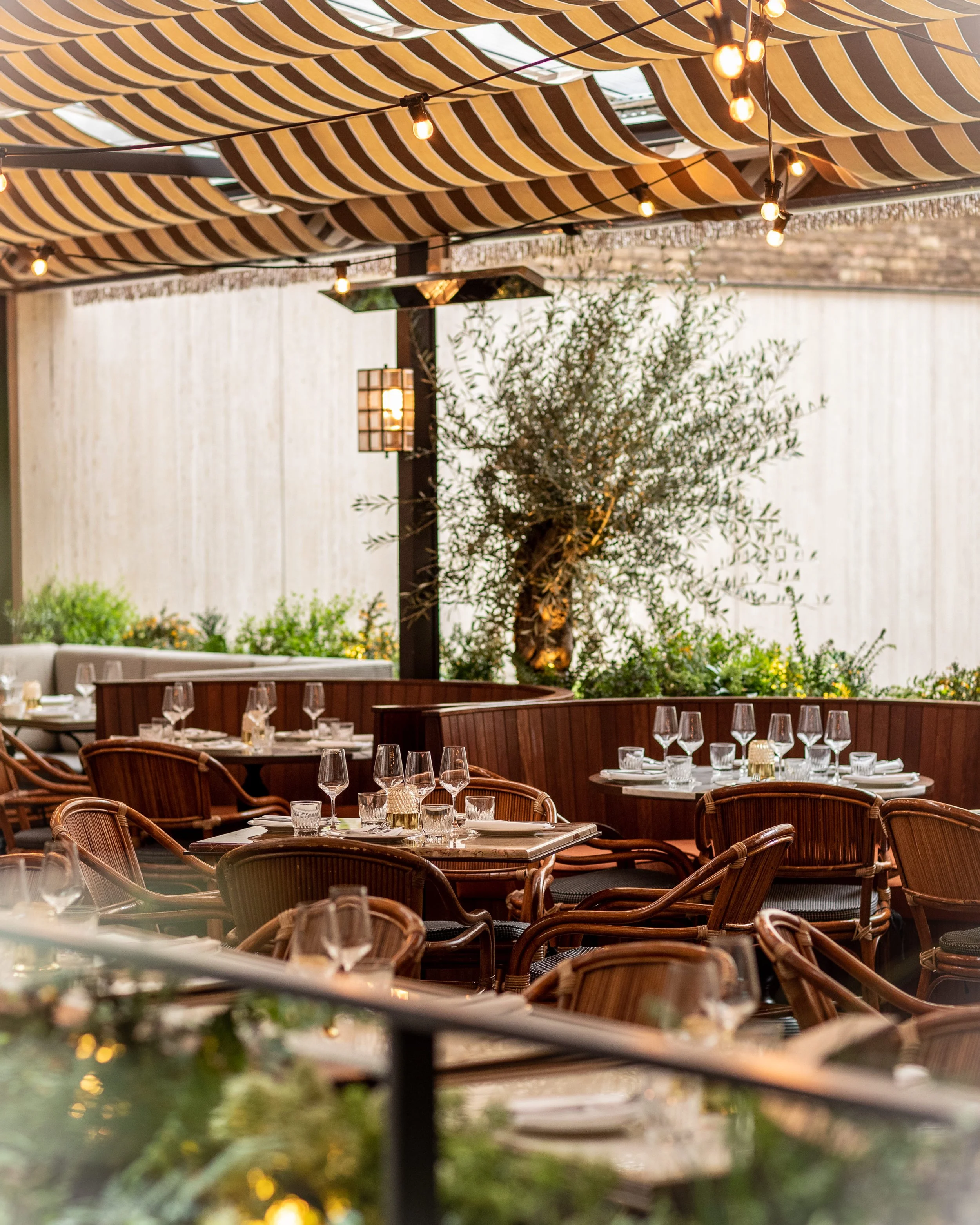 Review: The MAINE Mayfair — The Mayfair Musings