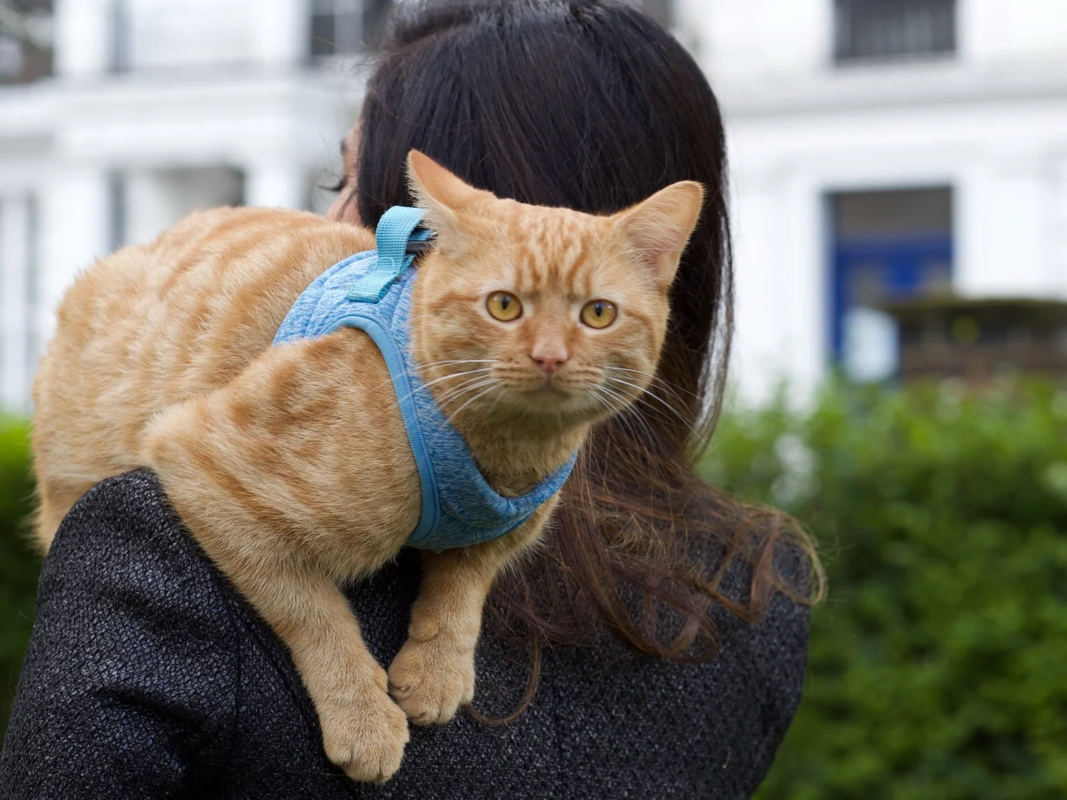 10 Qs with Tabbasum Awan, Founder of Pink Tea Cafè — The Mayfair Musings