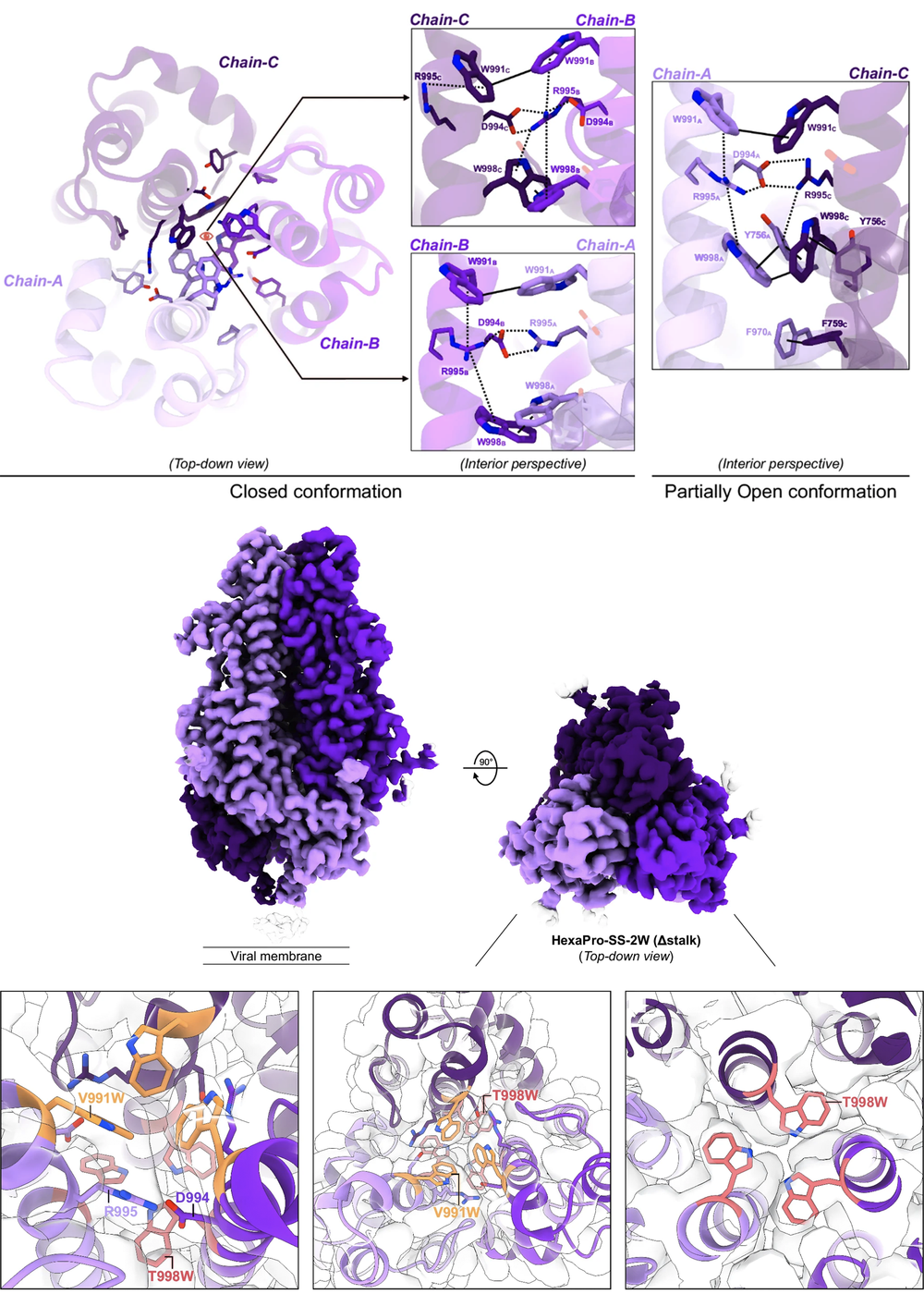 Publications — McLellan Lab