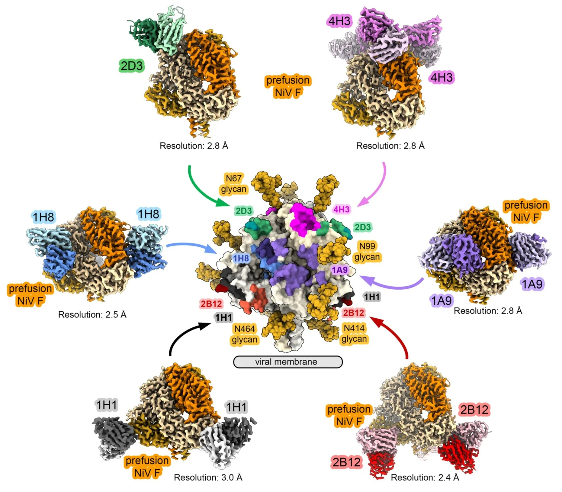 Publications — McLellan Lab