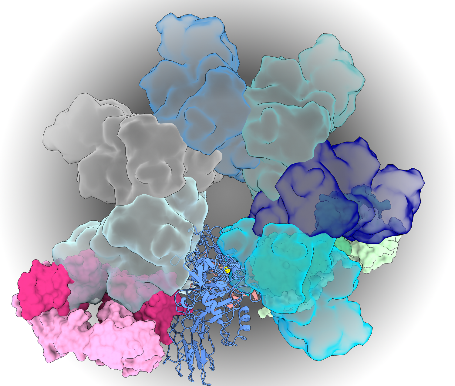 Publications — McLellan Lab