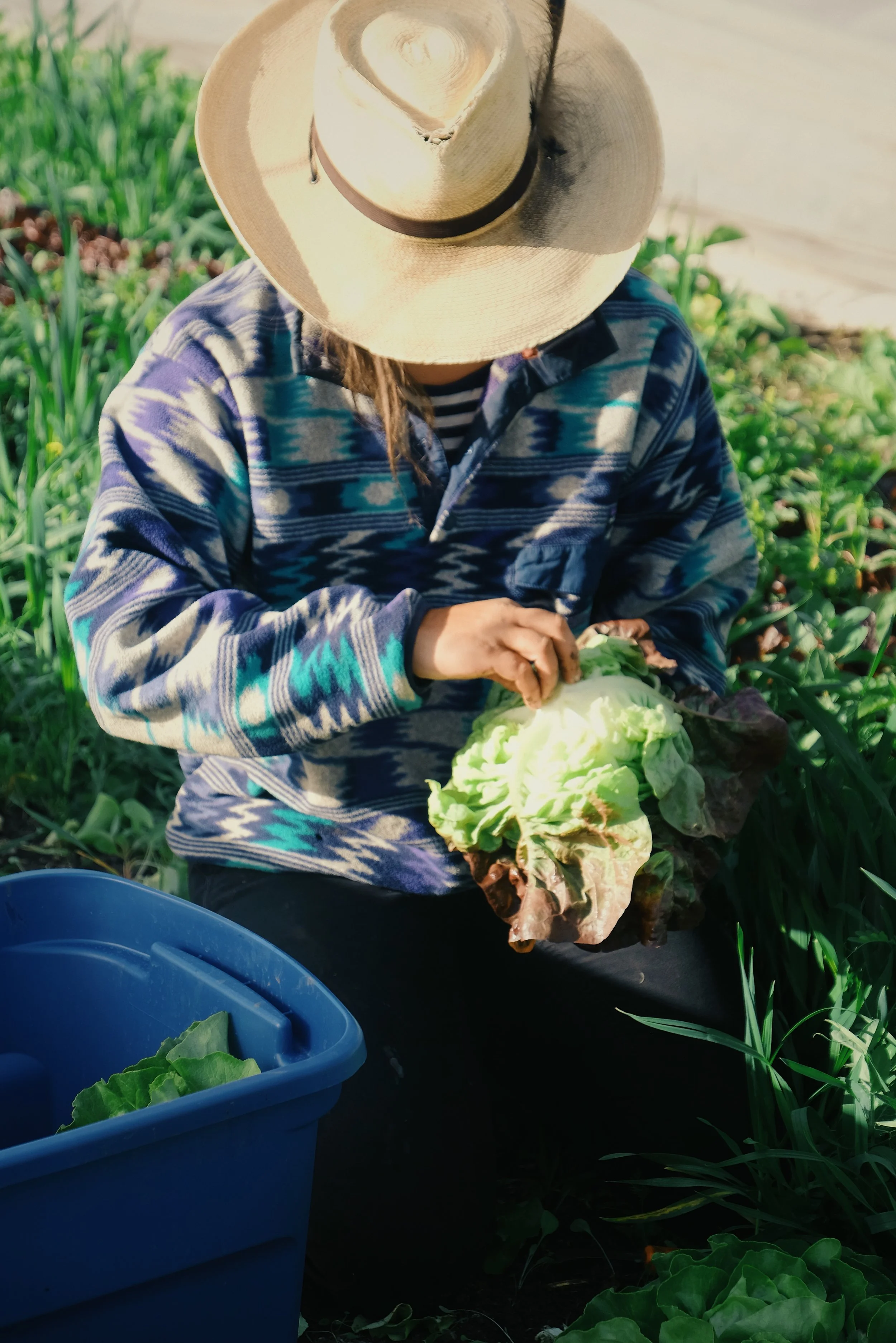 The Farm — Long Table Durango