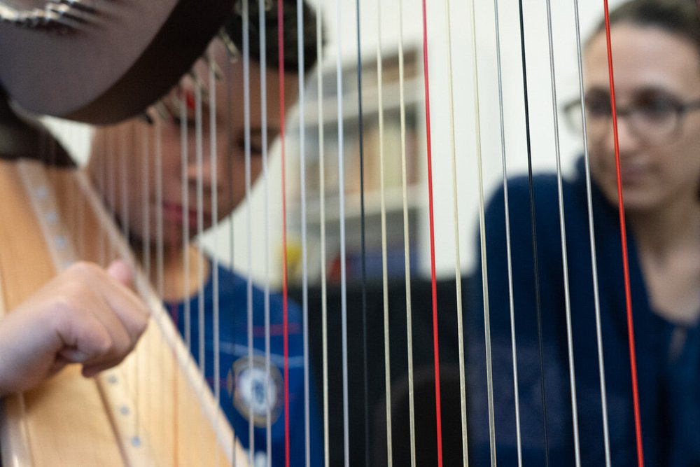 Hand Harp Player