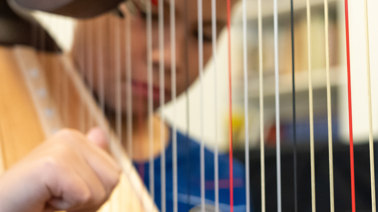 Harp Program — The Diller-Quaile School of Music