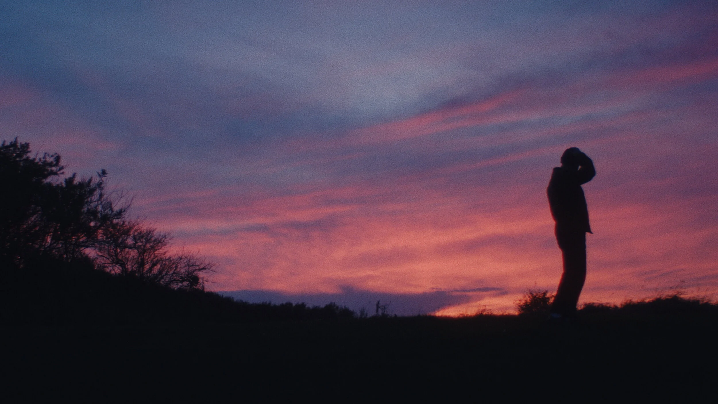 director — Harry Jenkinson