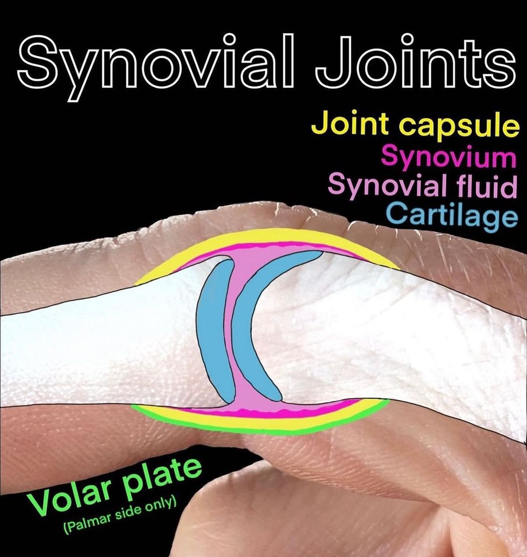 Why Does Not Loading Hurt? — CAMP4 HUMAN PERFORMANCE