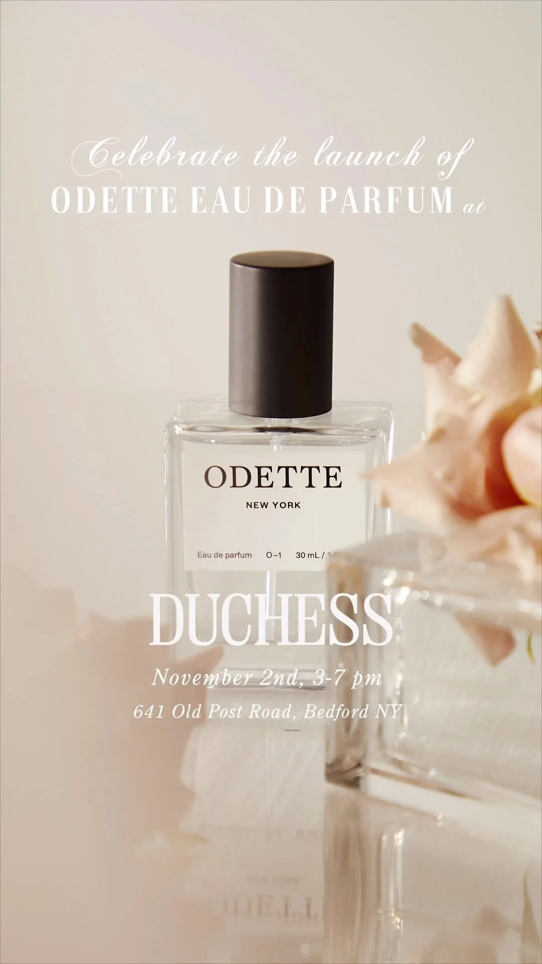 Odette New York