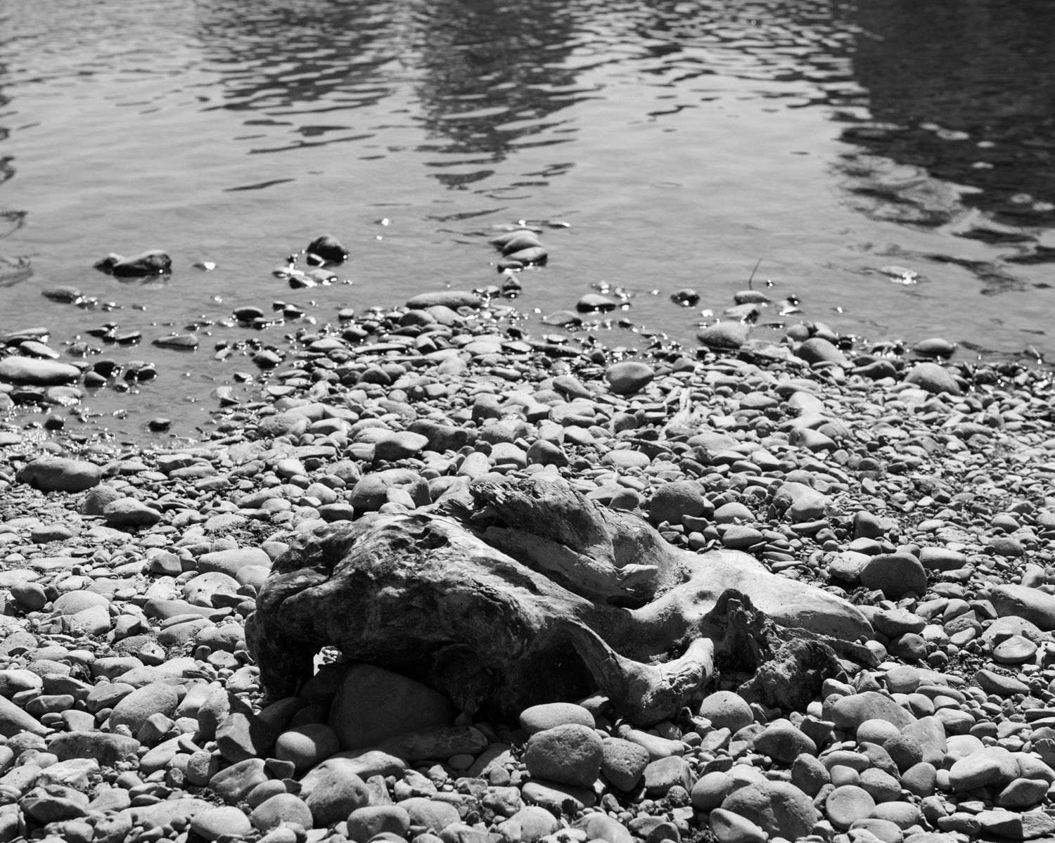 Te Ahi Kā — Martin Toft