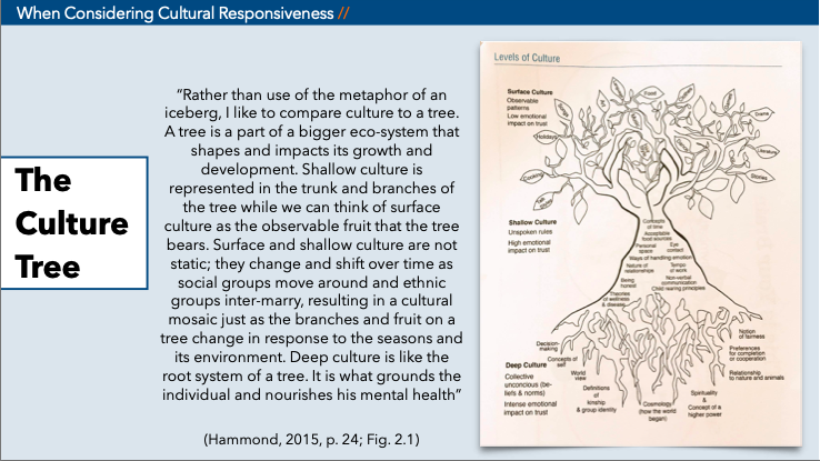 Blog — The Pedagogical Refinery