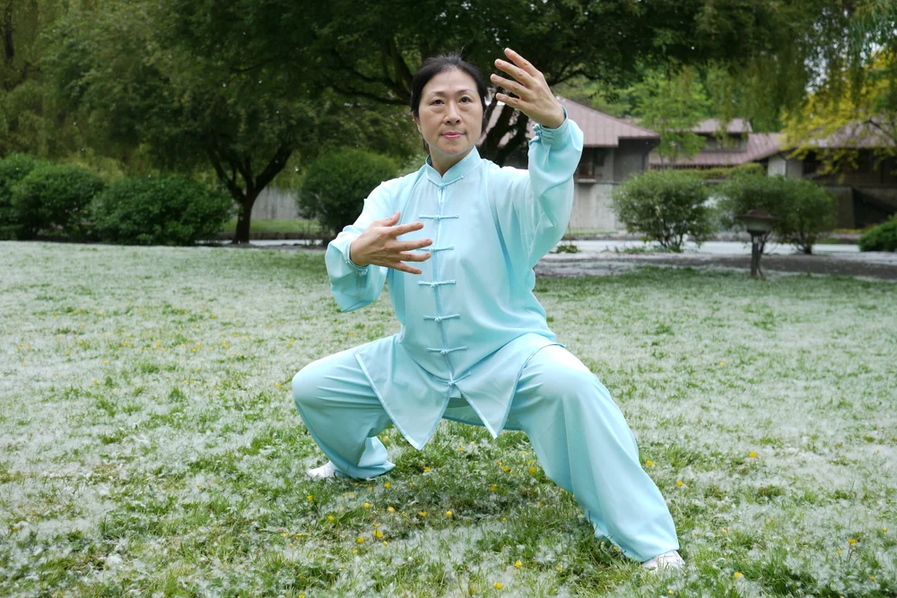 Qigong 氣功 — Wudang Dan Pai