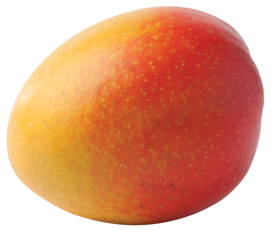 our varieties — Manbulloo Limited