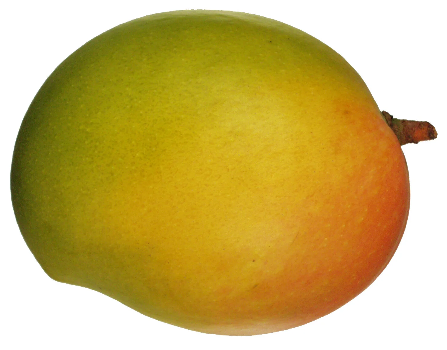 our varieties — Manbulloo Limited