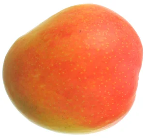 our varieties — Manbulloo Limited