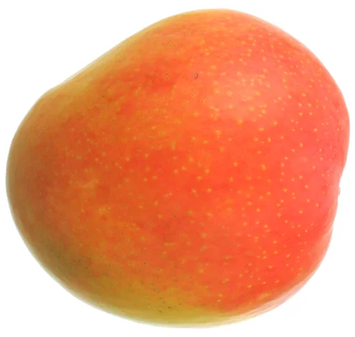 our varieties — Manbulloo Limited