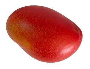 our varieties — Manbulloo Limited