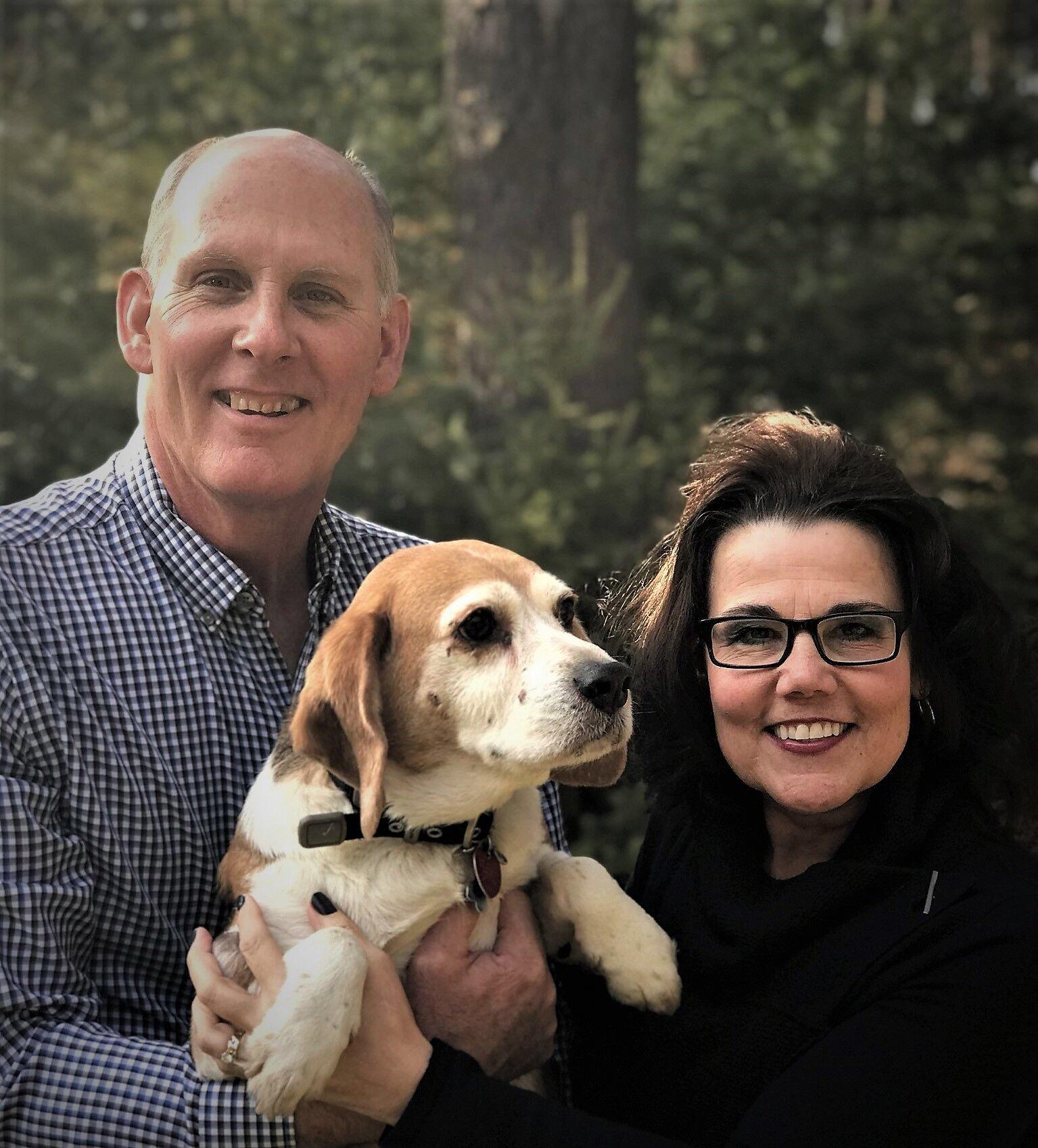 Ann Bollin for State Representative