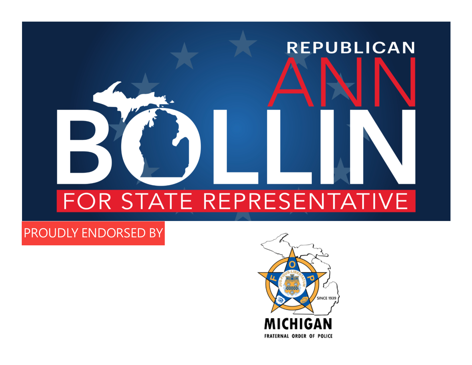 Ann Bollin for State Representative
