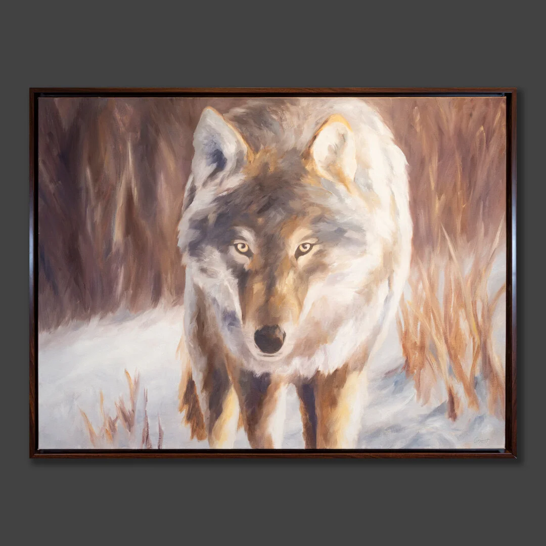Watercolor Paintings Of A Wolf