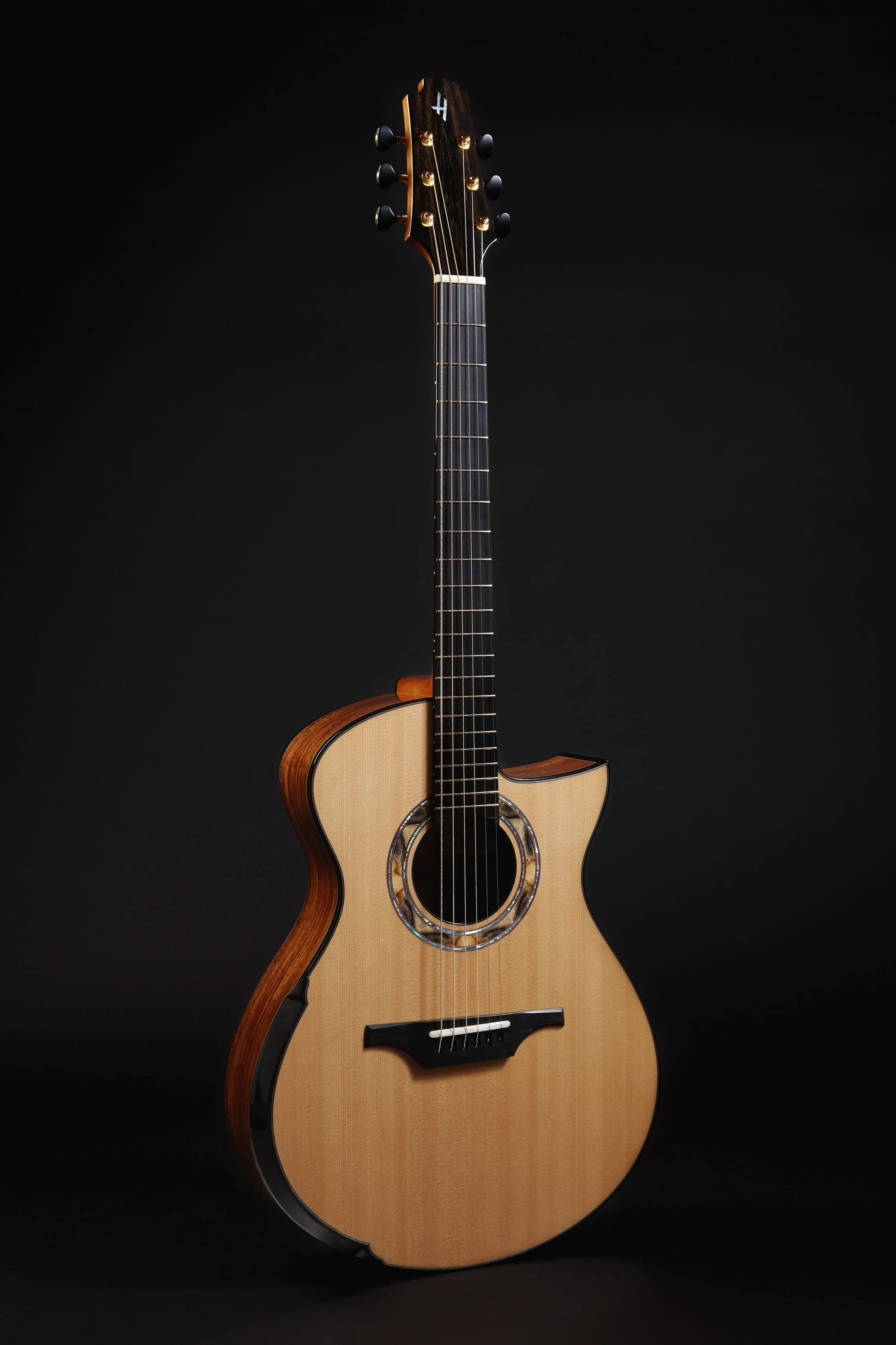 Gallery — Halland Guitars