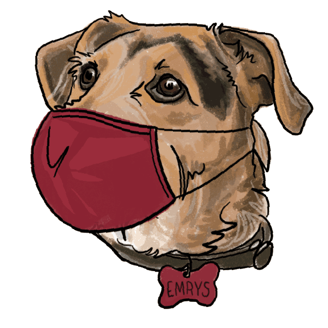 Colgate University — Katriel Pritts