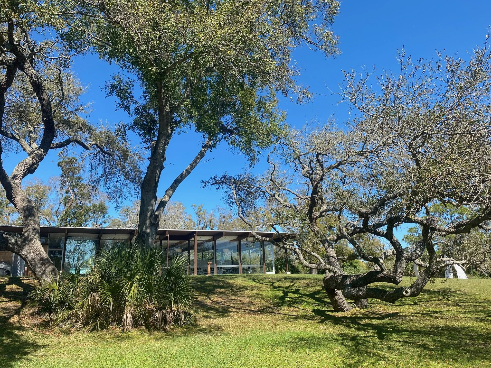 South Gate Community Association