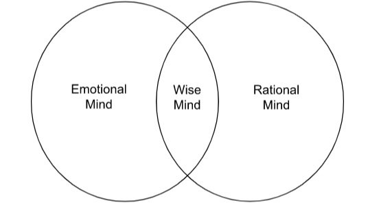 Root to Rise Therapy | Los Angeles Marriage & Family Therapists-The ...