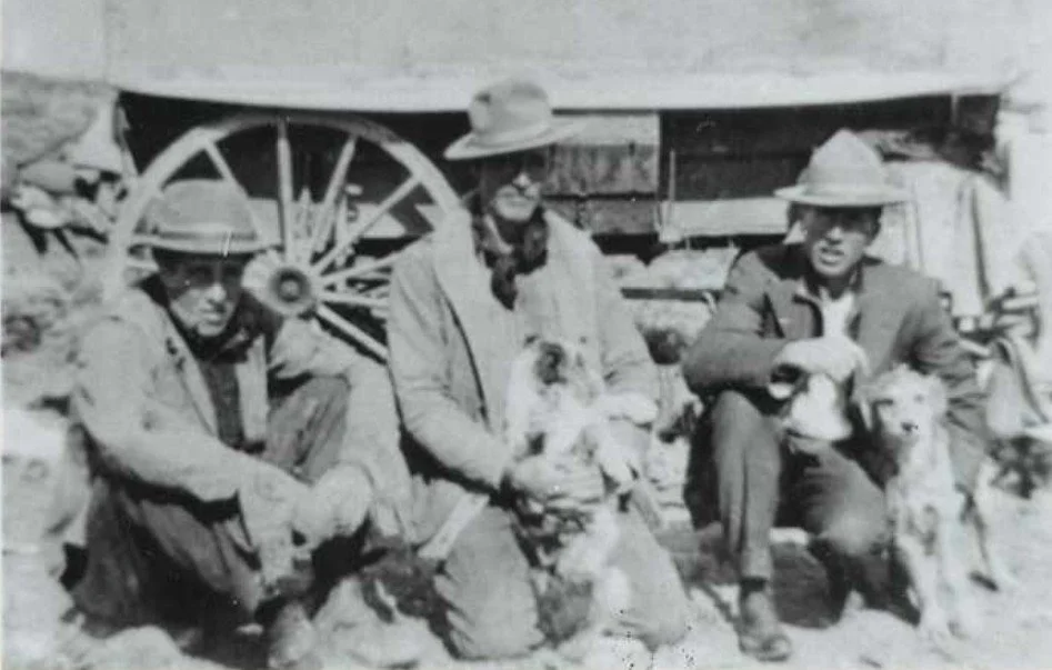 Eugene Mackay: Six Decades of Sheep and Service on Redwood Road — West ...