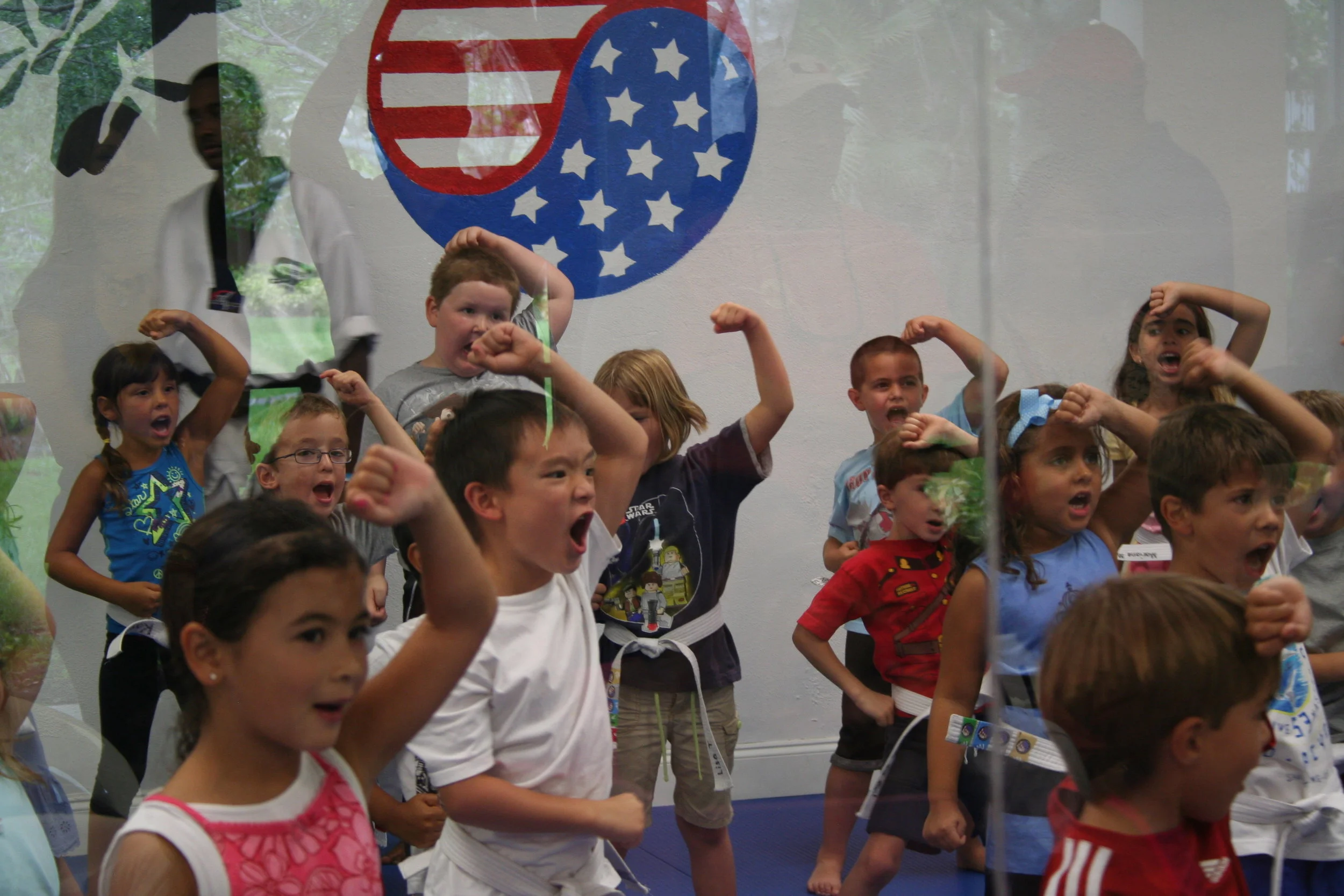 Taekwondo Tiger Camps | American Tigers Martial Arts | Weston, FL ...