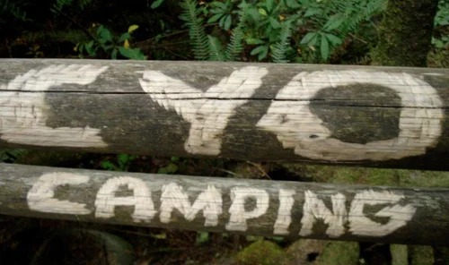 About Us — CYO Summer Camp