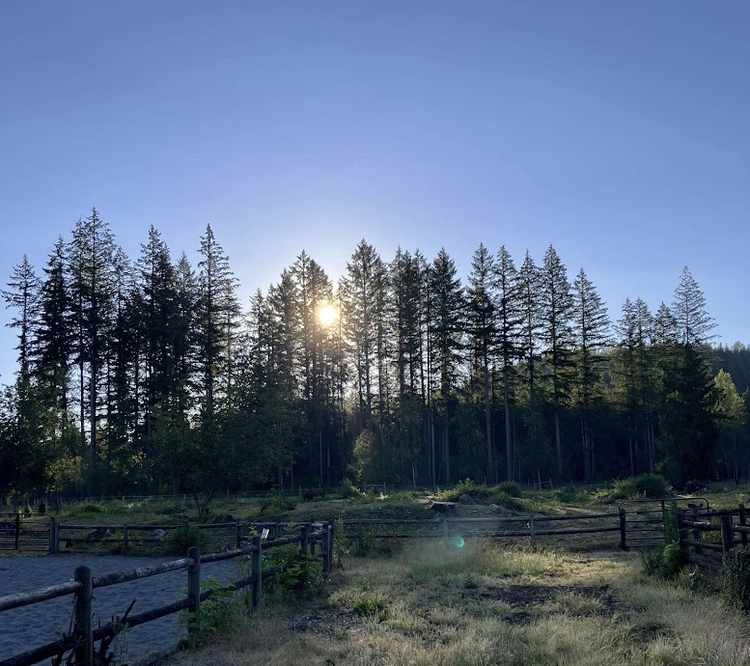 Programs — CYO Summer Camp