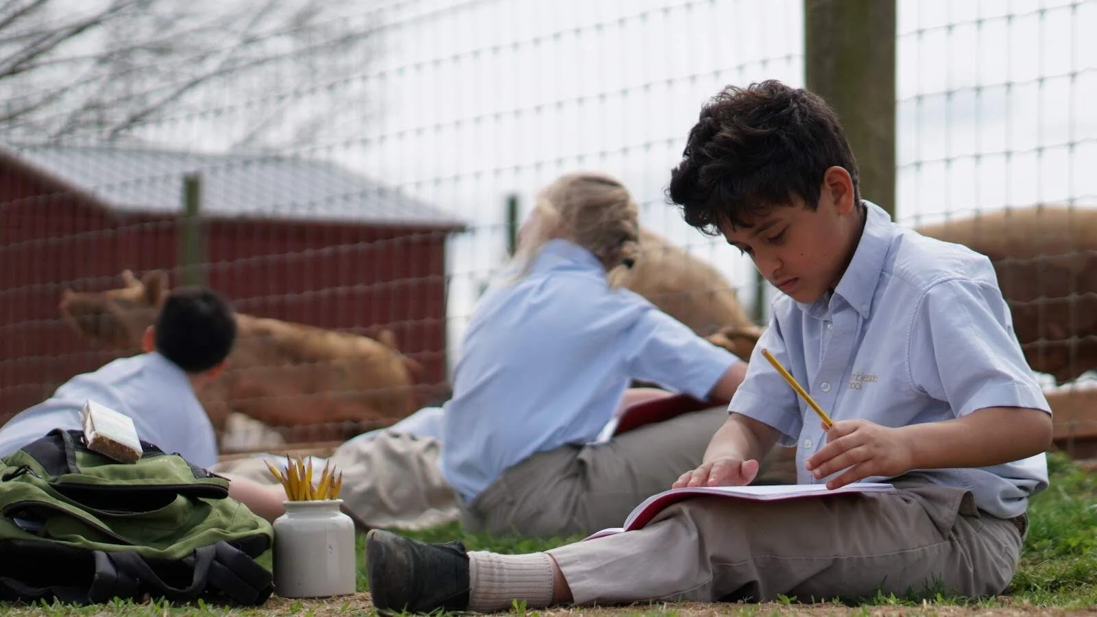 Ambleside School