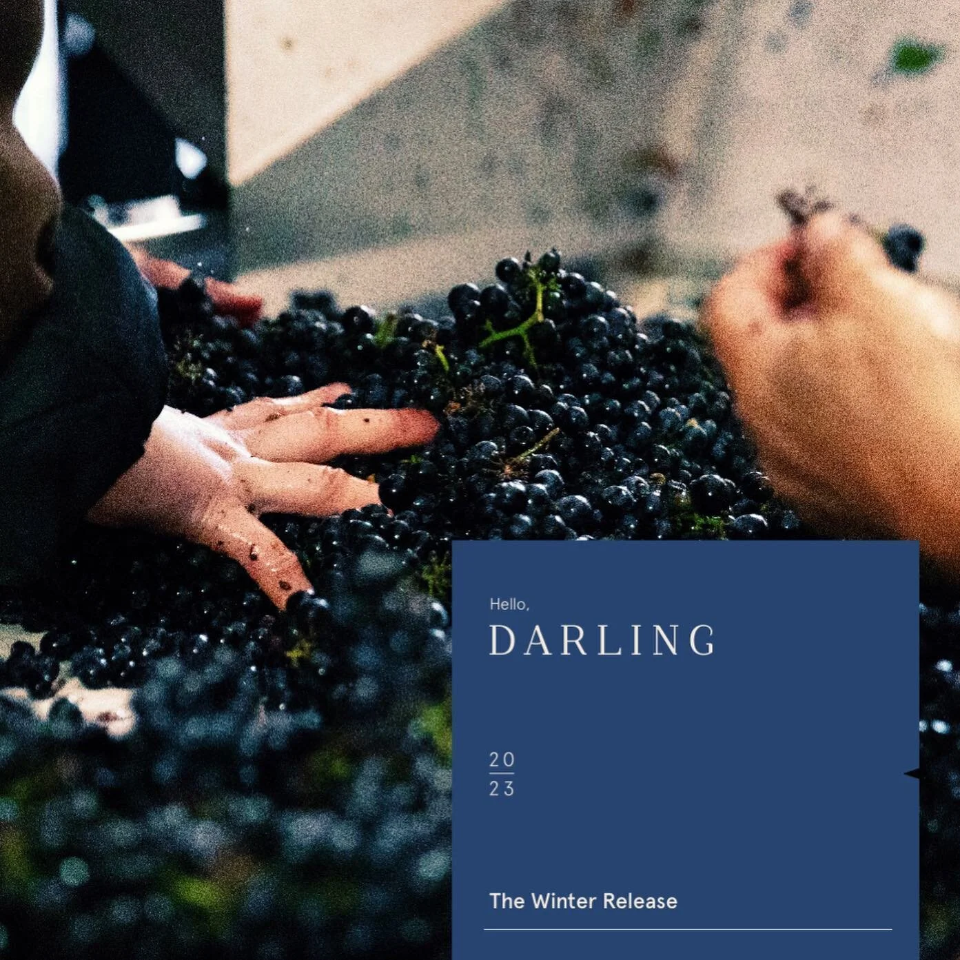 Darling Wines