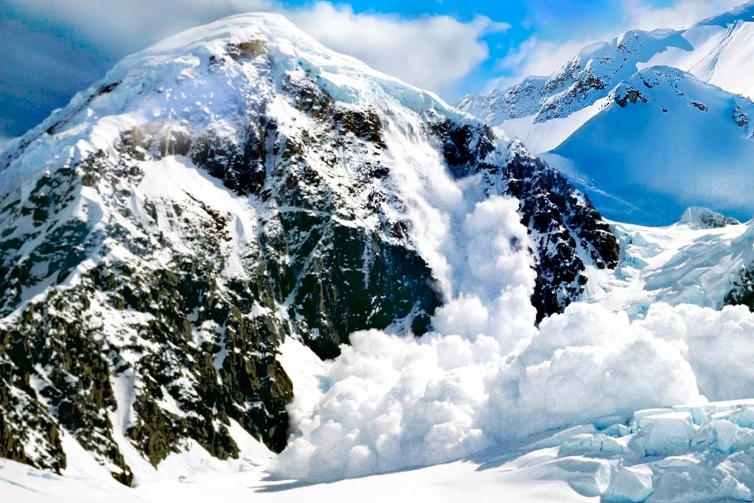 American Avalanche Association