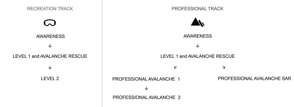 Overview 2024 — American Avalanche Association