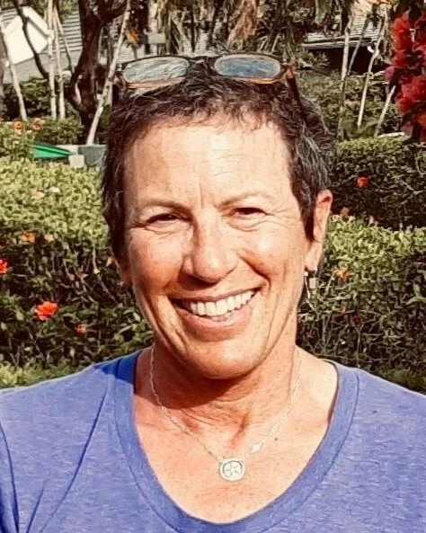 A3 Team — American Avalanche Association