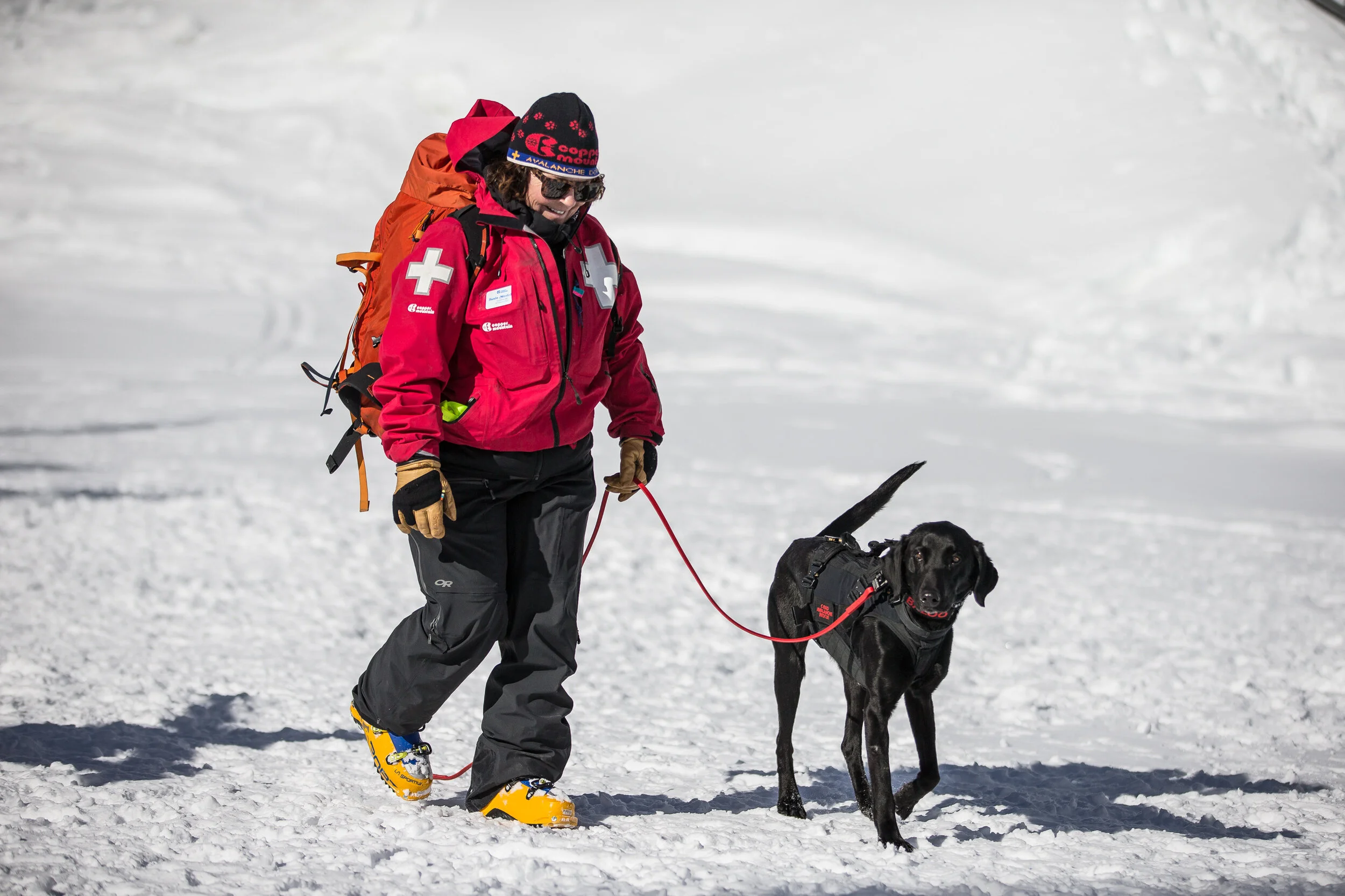 Avalanche Dog Memorial List — American Avalanche Association
