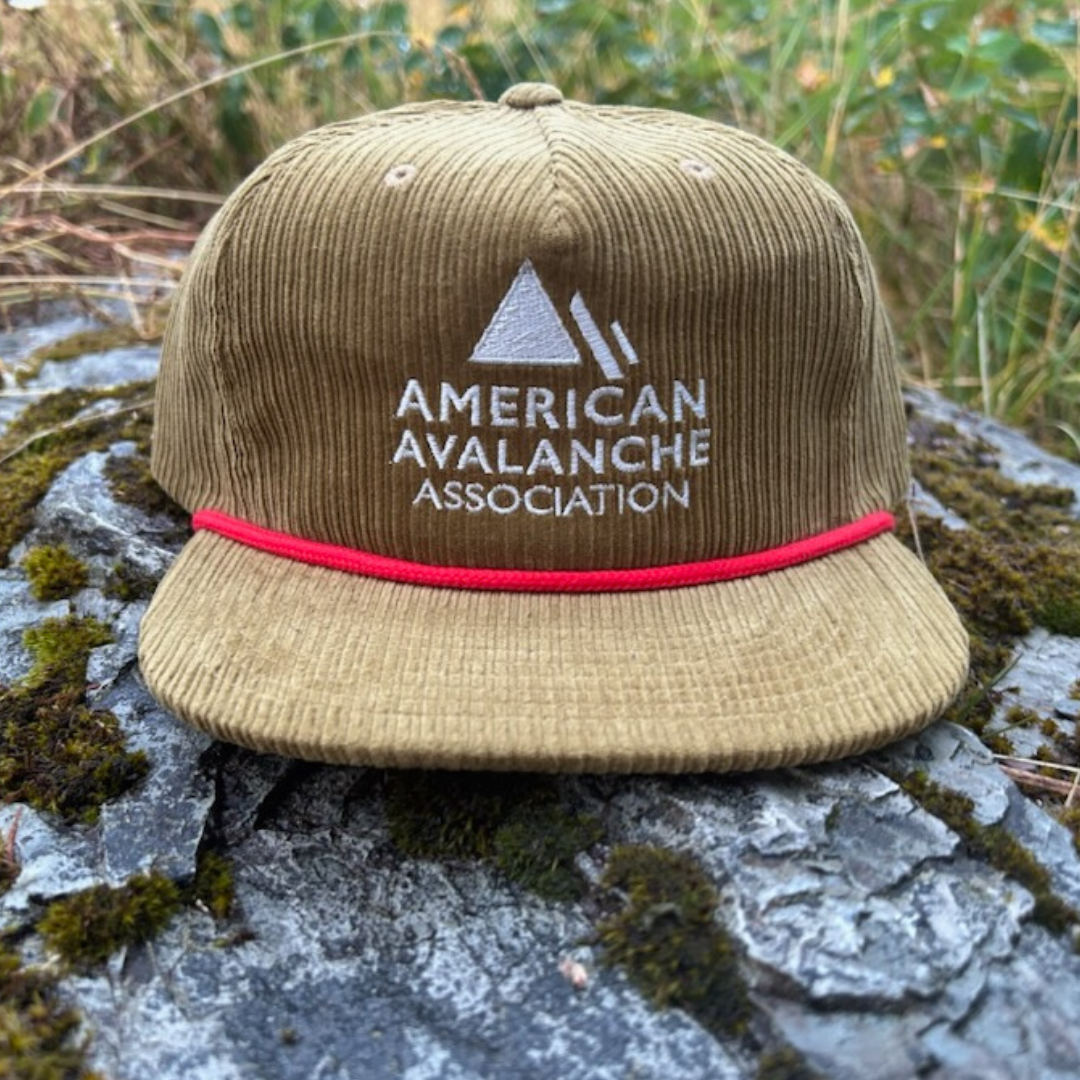Store — American Avalanche Association