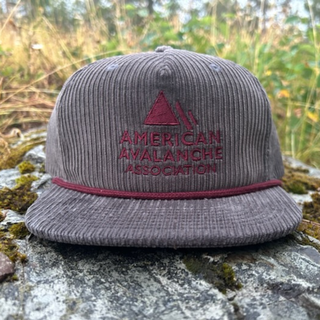 Store — American Avalanche Association